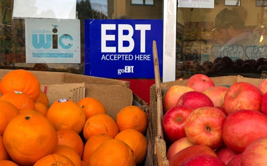 ᐈ Qué es EBT Puerto Rico【 Cómo Solicitarla y MÁS】